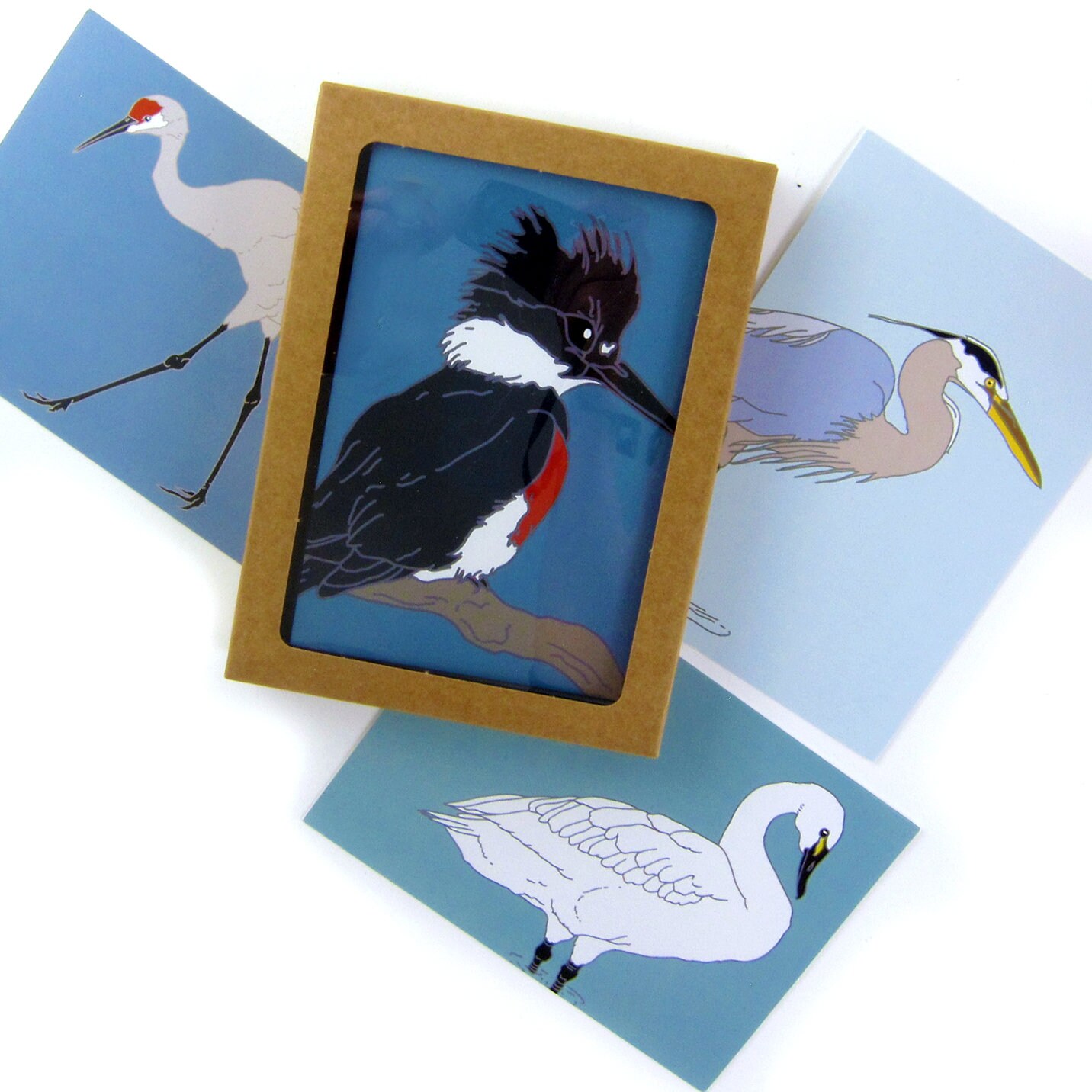 Box of Wetlands Birds Note Cards 2 Each of 4 Designs - Etsy