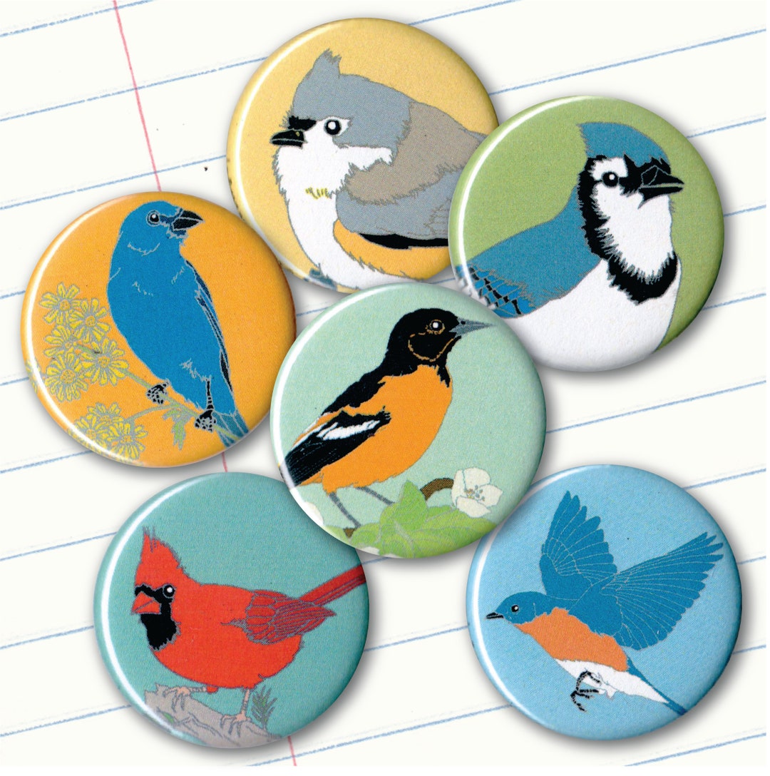 Eastern US Backyard Bird Magnets | Gift Set of 6 | Birding Nature Cute ...