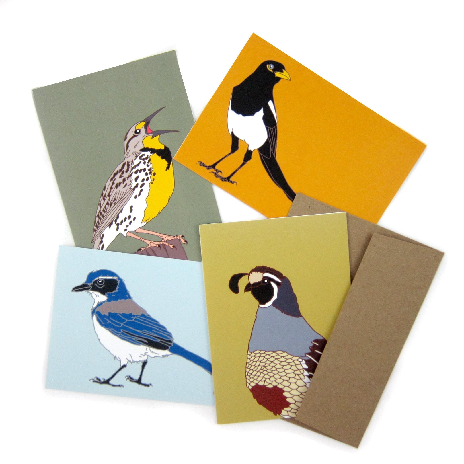 Box of Grasslands Birds Note Cards 2 Each of 4 Designs | Etsy
