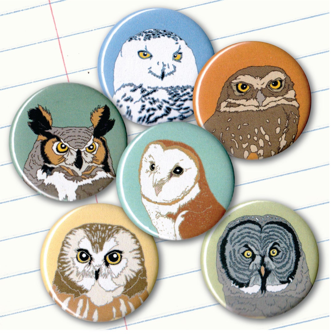 Owl Magnets | Gift Set of 6 | Nature Outdoors Bird of Prey Raptor ...