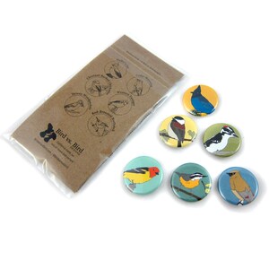 Woodland Bird Pins Pack of 6 Wild Bird Art Birder Gift - Etsy