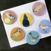 Desert Birds Magnets Set of 6 Nature Outdoors Birder | Etsy