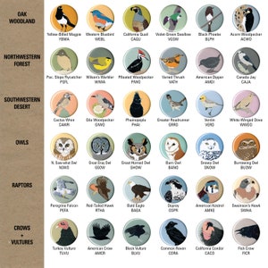 Bird Magnet Gift Set | Choose From 17 Themes | Nature Audubon Birder ...