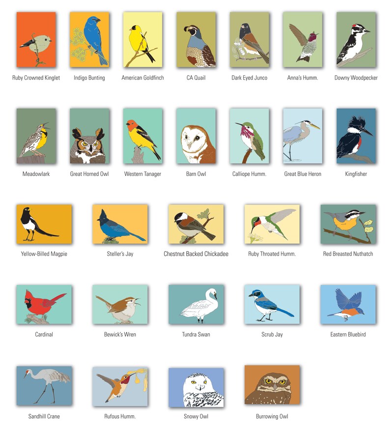 Bird Note Cards Mix Match 8 Choose from 20 Designs | Etsy