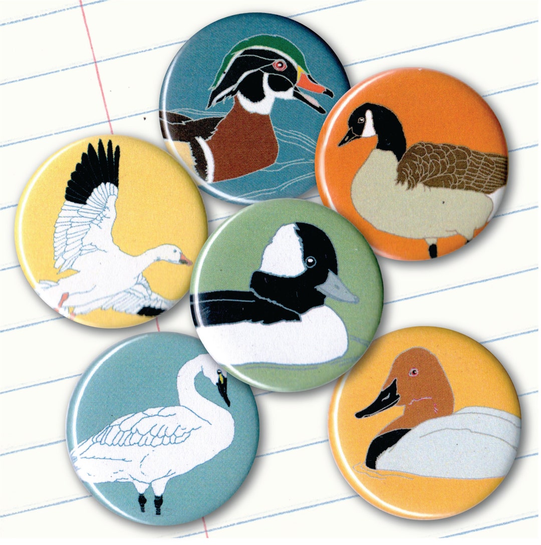 Ducks + Geese Magnets | Boxed Set of 6 | Nature Outdoors Birder ...