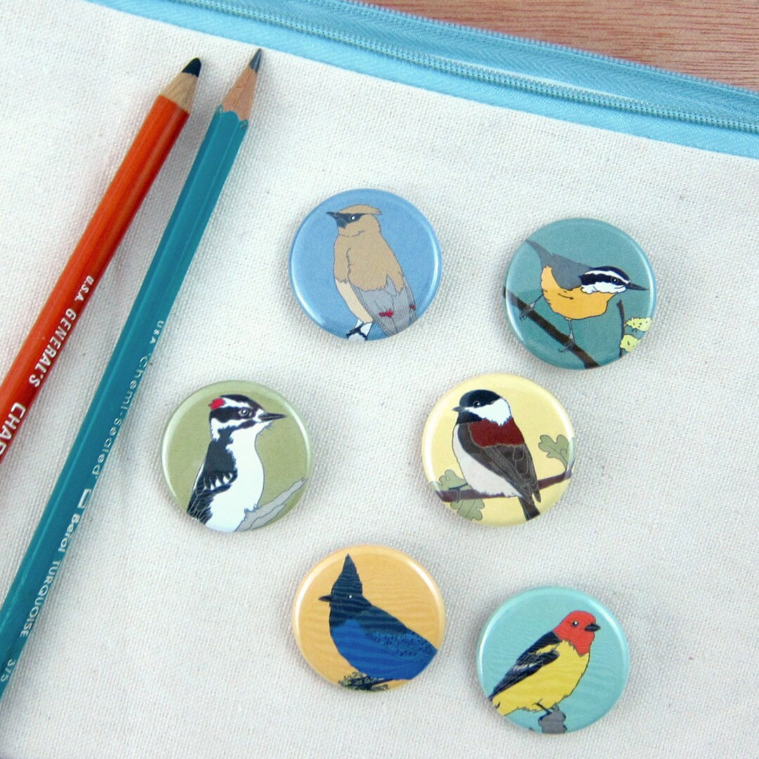 Woodland Bird Pins Pack of 6 Wild Bird Art Birder Gift - Etsy