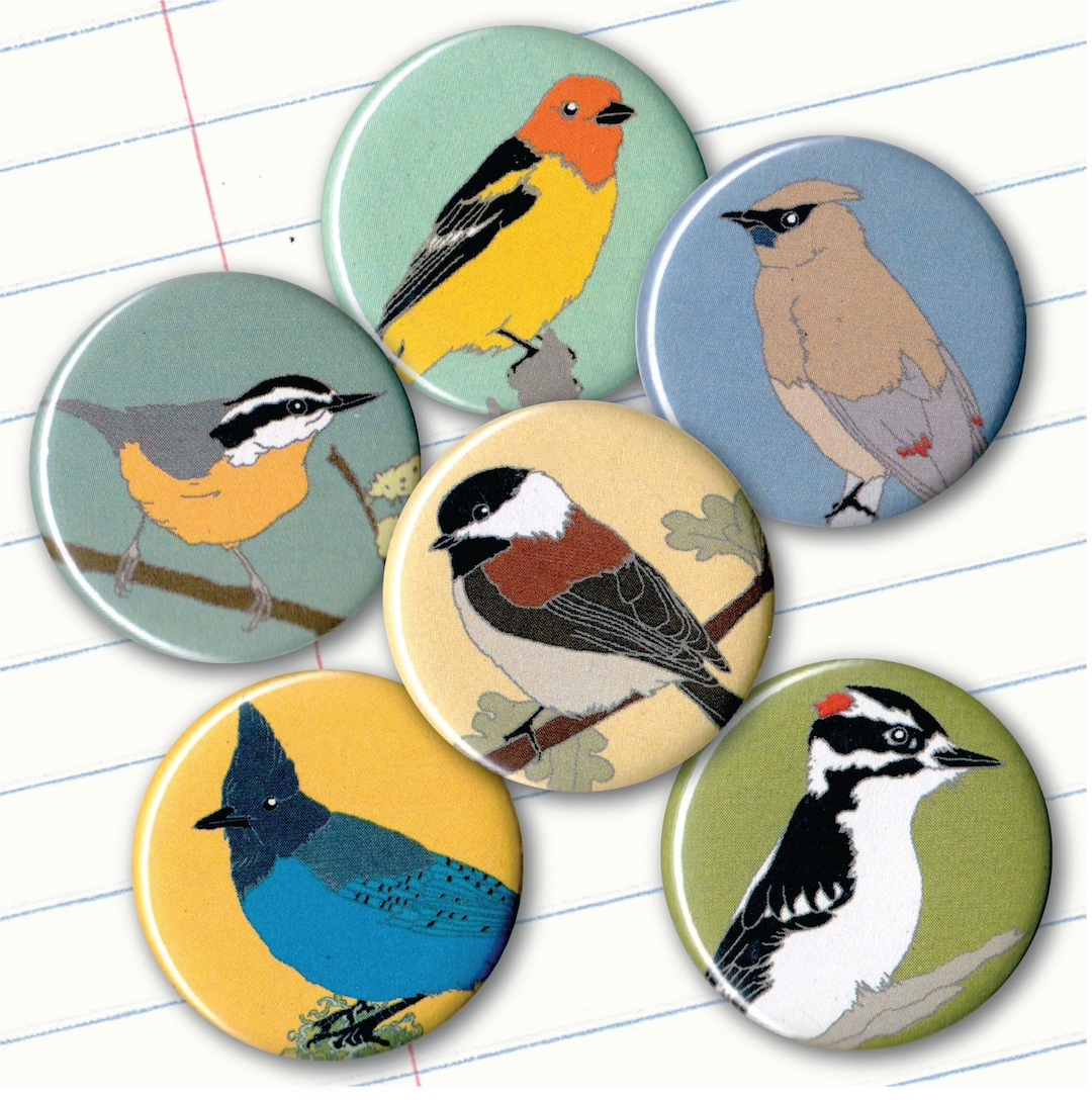Forest Bird Magnets | Gift Set of 6 | Wild Birds Woodland Sierra Birder ...