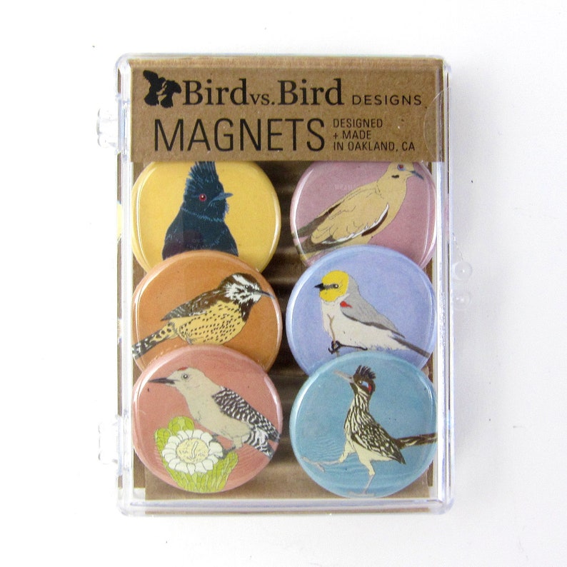Desert Birds Magnets Set of 6 Nature Outdoors Birder | Etsy