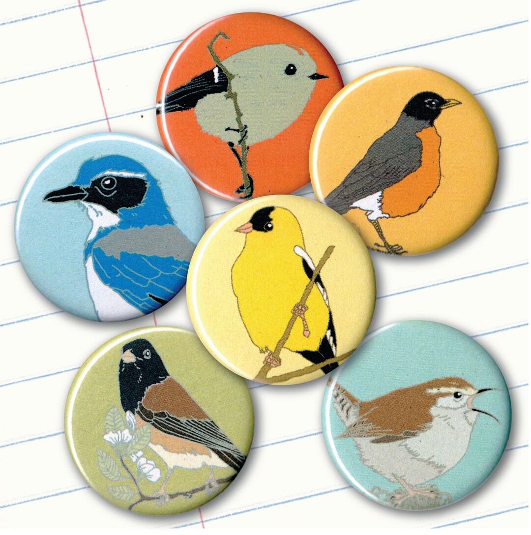 Western Backyard Bird Magnets | Gift Set of 6 | Cute Nature Outdoors ...