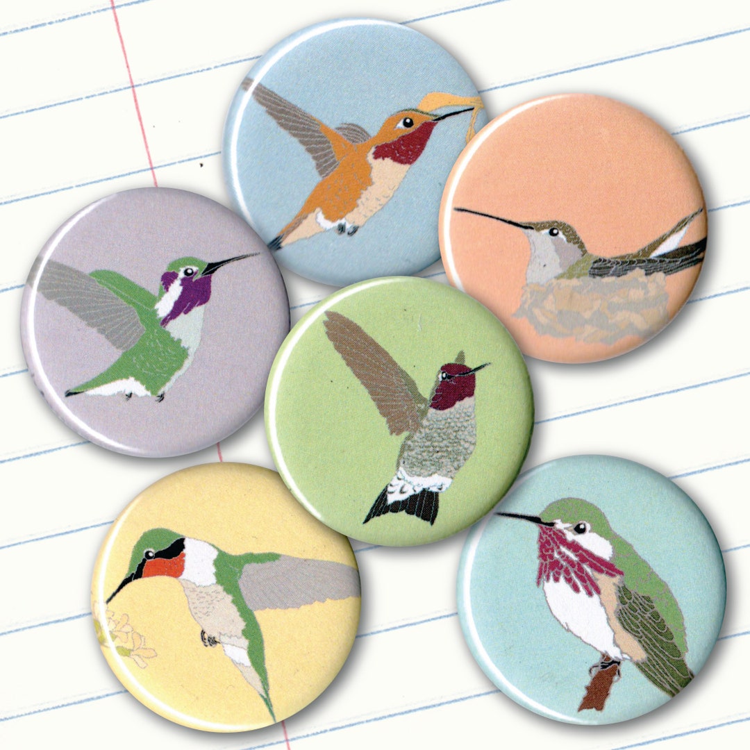 Hummingbird Magnets | Gift Set of 6 | Nature Outdoors Bird of Cute ...