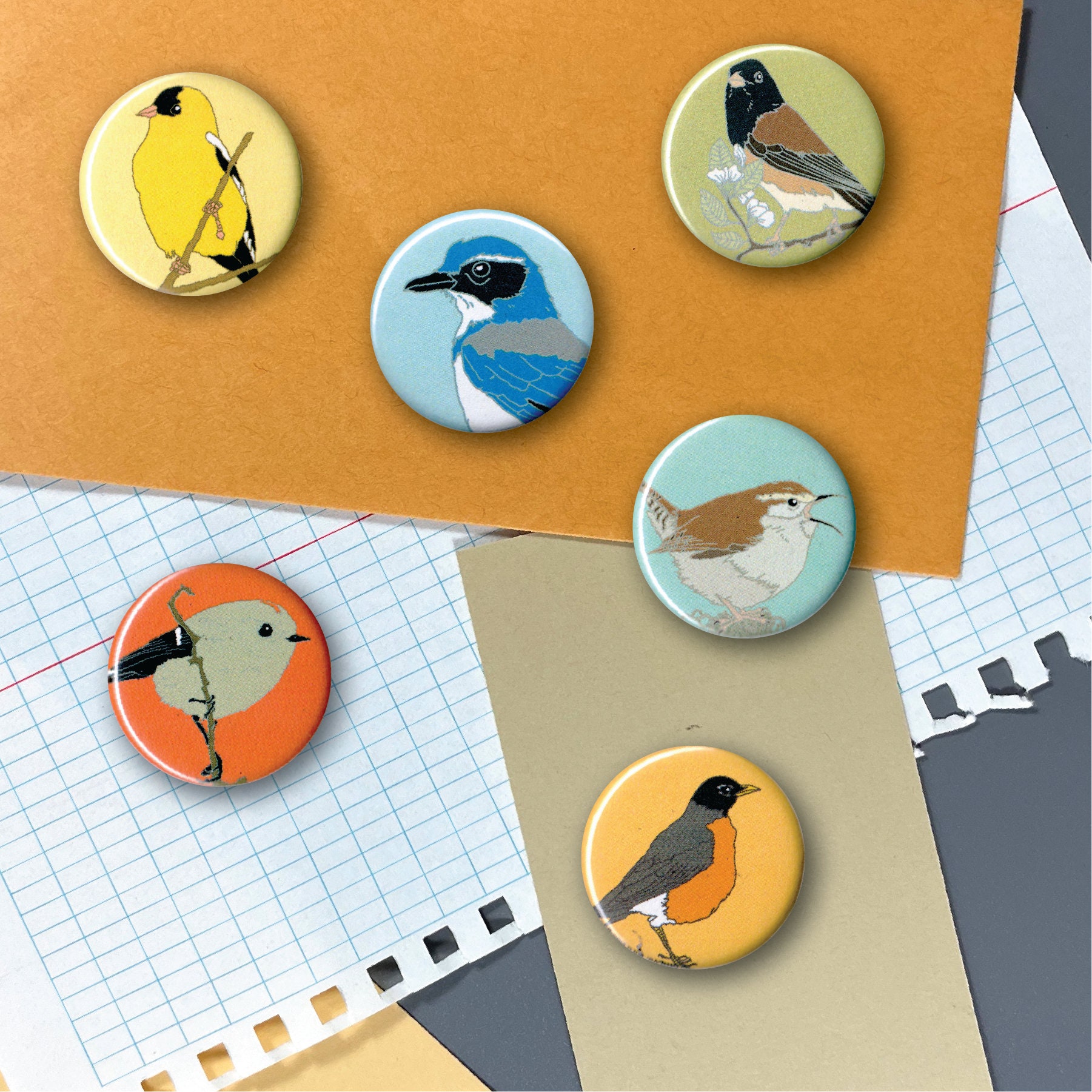 Western Backyard Bird Magnets | Gift Set of 6 | Cute Nature Outdoors ...