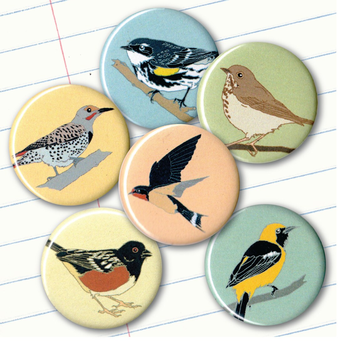 Wild Meadow Birds Magnets | Boxed Set of 6 | Nature California Outdoors ...