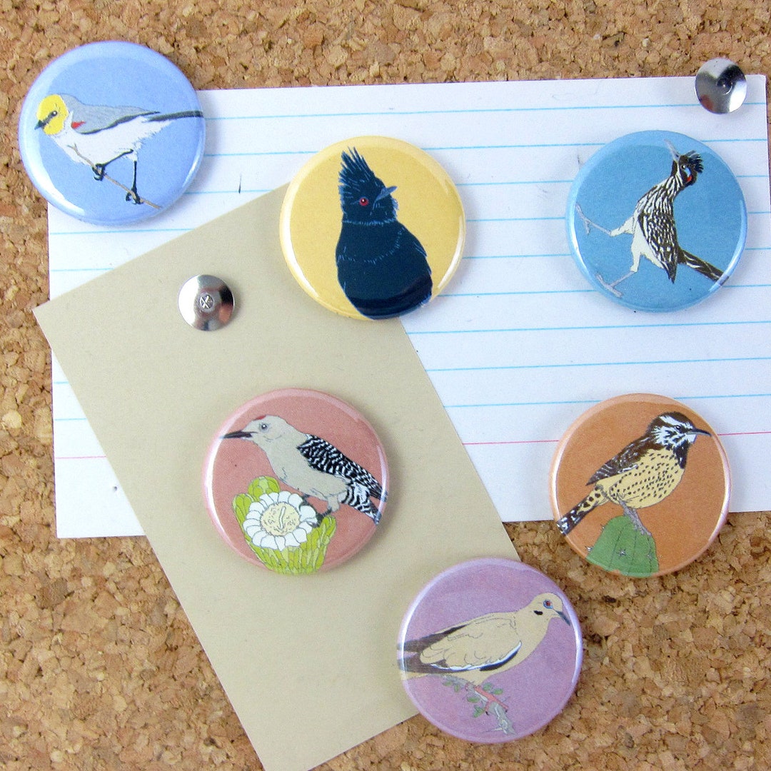 Desert Bird Pins Pack of 6 Nature Southwest Sonora - Etsy