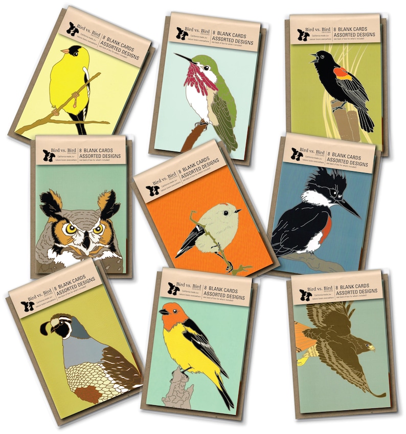 8 Backyard Bird Note Cards | 2 Each of 4 Designs | Recycled Paper | 4. ...