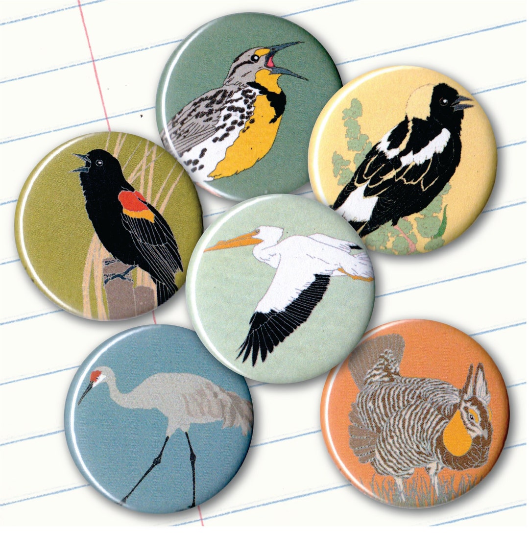 Great Plains Bird Magnets | Gift Set of 6 | Birding Nature Cute Birder ...