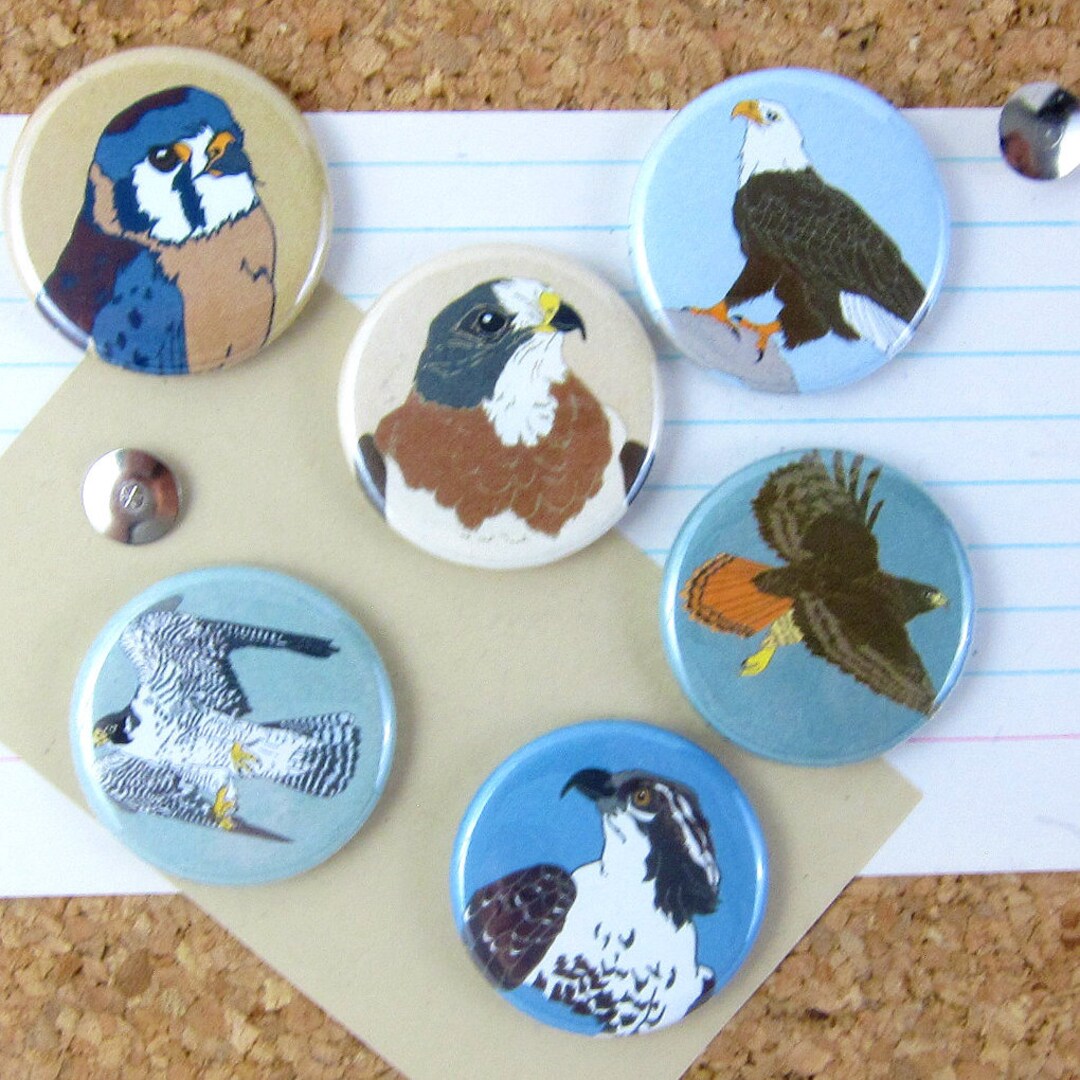 Raptor Pins Pack of 6 Nature Hawk Birder Bird of Prey - Etsy