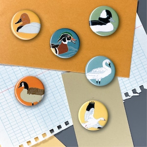Ducks + Geese Magnets | Boxed Set of 6 | Nature Outdoors Birder ...
