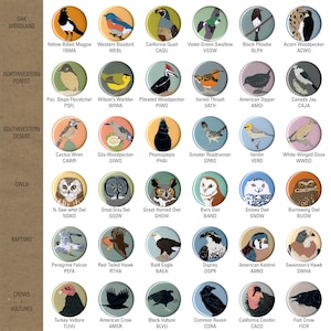 Mix and Match 24 Bird Pins: 100+ Designs! | US Native Wild Songbirds ...