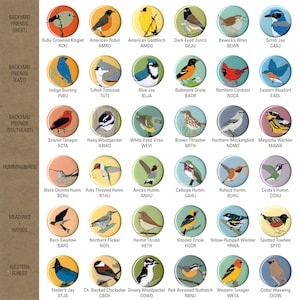 Mix and Match 24 Bird Pins: 100+ Designs! | US Native Wild Songbirds ...