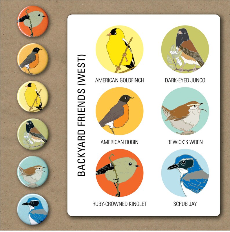 Western Backyard Bird Magnets | Gift Set of 6 | Cute Nature Outdoors ...