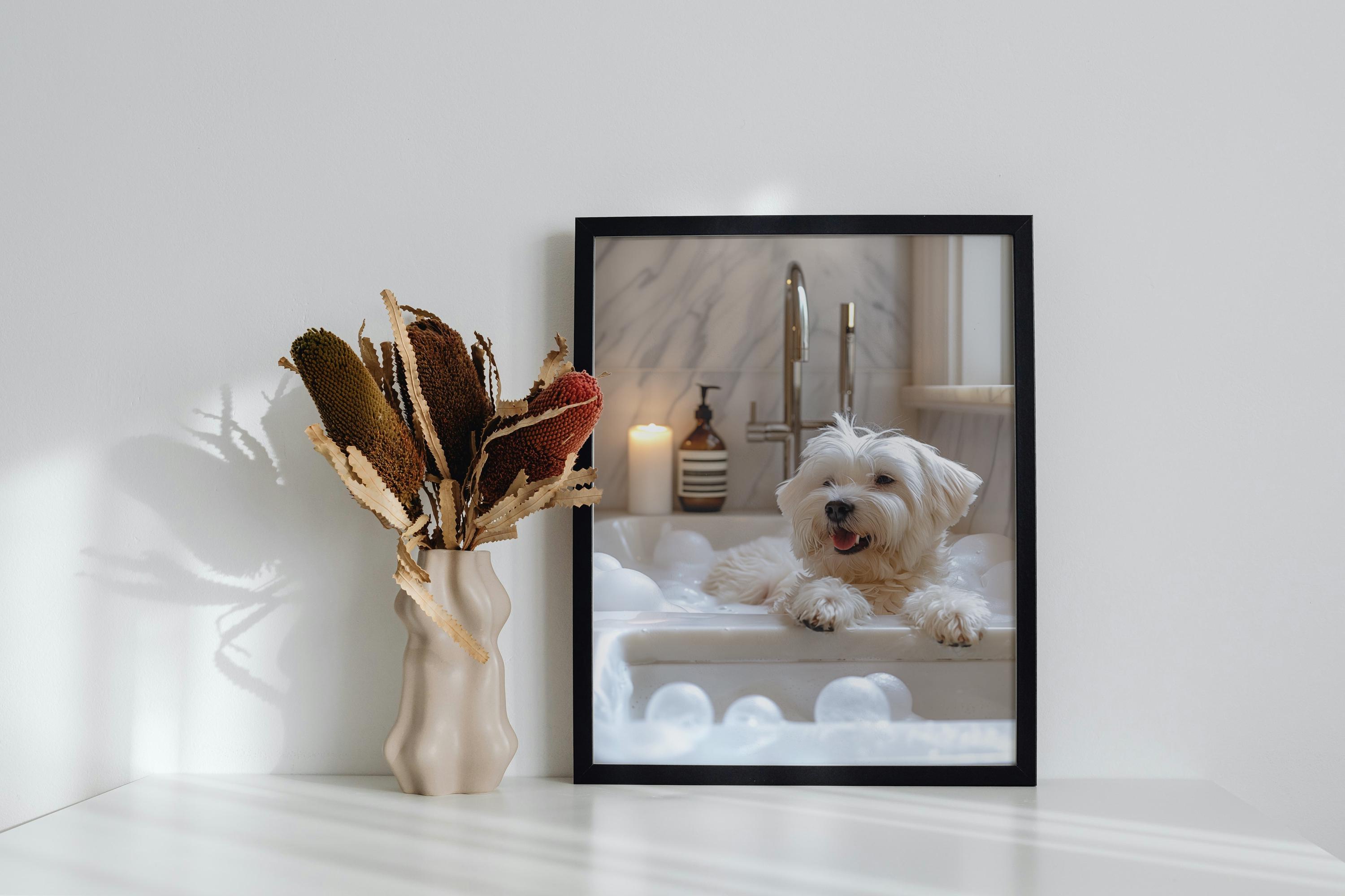 Havanese Bathroom Wall Art, Funny House Decor Art Print, Havanese Dog ...