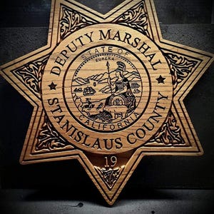 Police Department, Cpd, Chicago, Promotions, Law Enforcement, Police ...