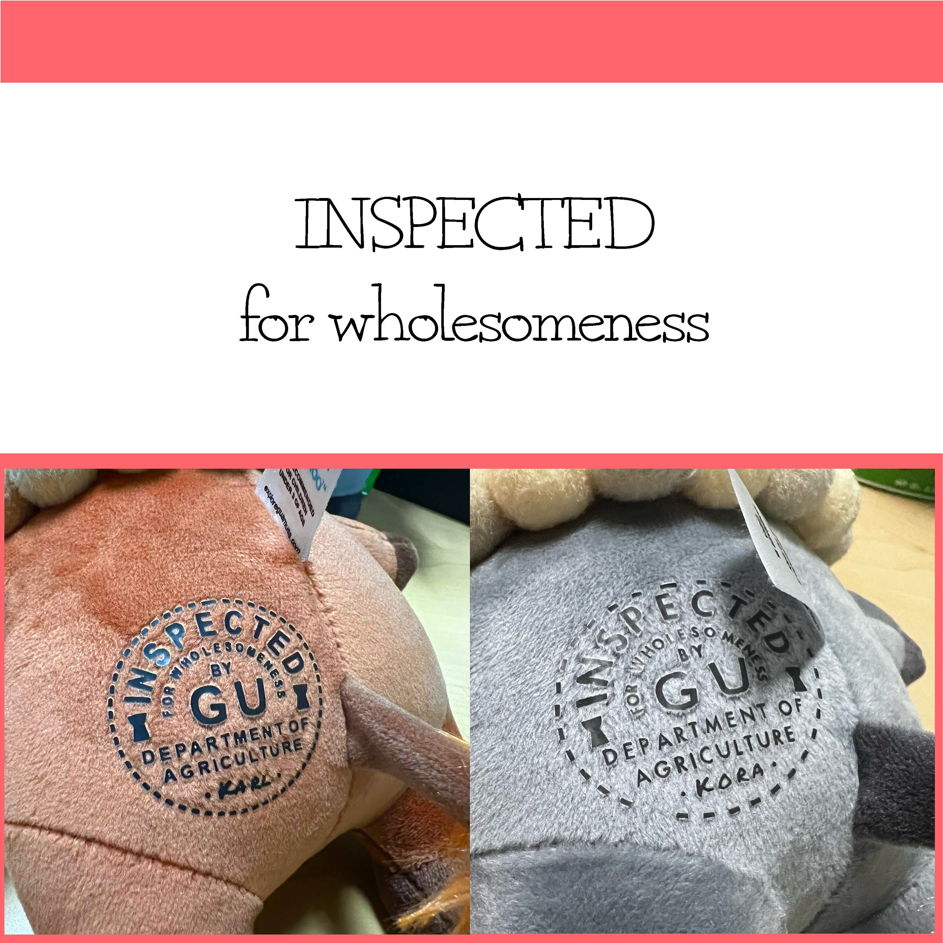 Give Me a Moo Moo Karl the Carabao and Kora the Cow Guam Legend Water ...