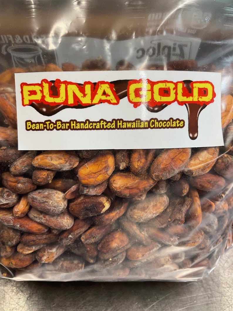Hawaiian-grown Cacao Beans, 5 Lb. Bulk, DYI Chocolate! - Etsy