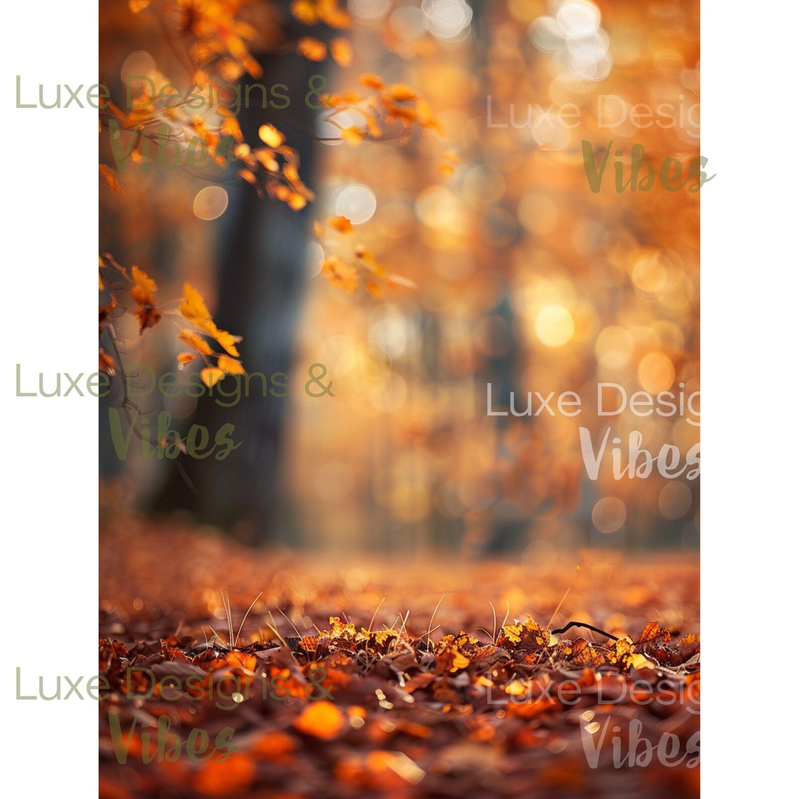 Autumn Bokeh Photography Backdrops: Studio Fall Backgrounds (digital ...