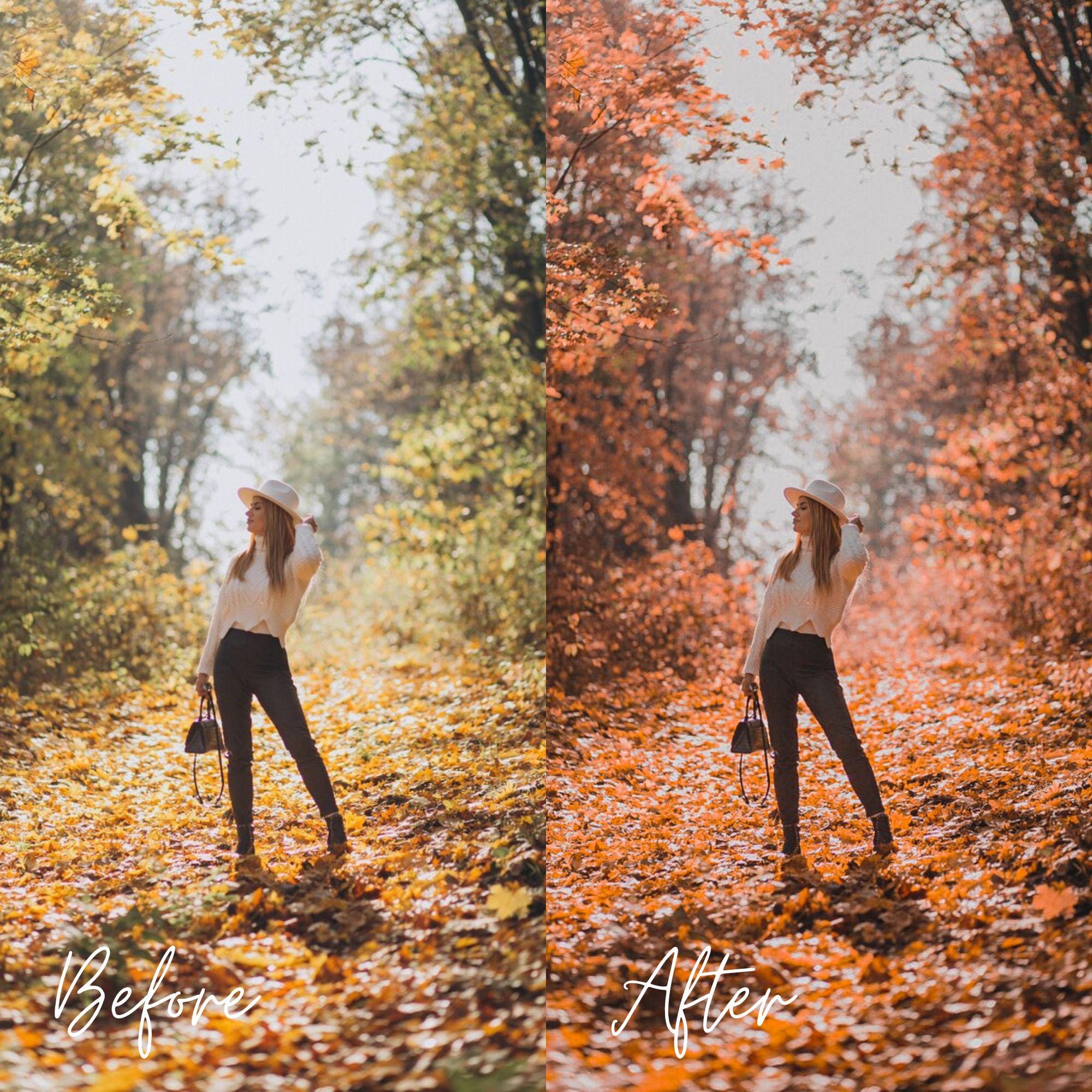 Autumn Blaze Lightroom Presets: Warm Fall Photo Filters (mobile ...