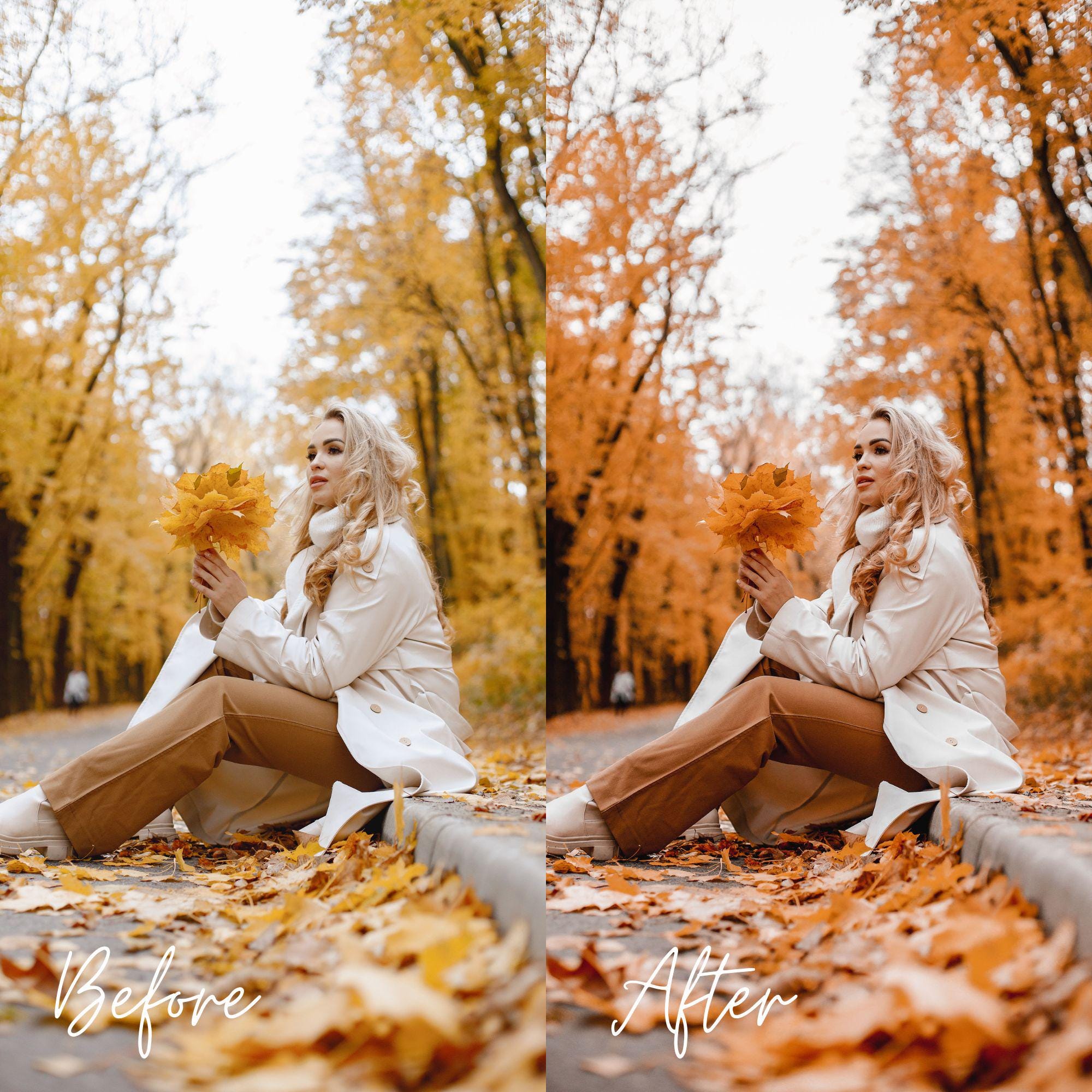 Autumn Blaze Lightroom Presets: Warm Fall Photo Filters (mobile ...