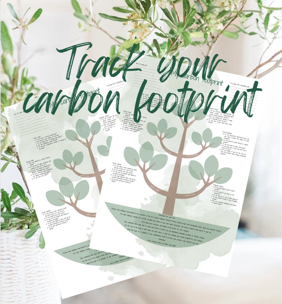 My Carbon Footprint Reflection - Etsy