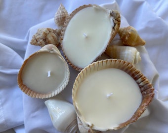 Xs,s,m Seashell Candle, Clam Shell Tea Light - Etsy