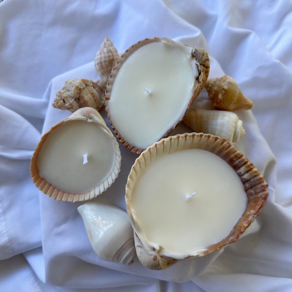 Seashell Candle - Etsy
