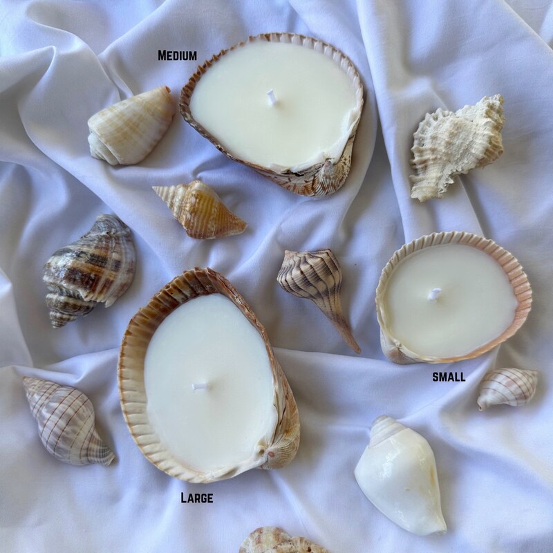 Seashell Candle - Etsy