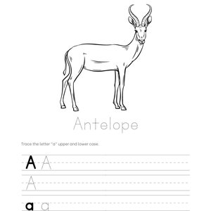A-Z Animal Alphabet Coloring and Tracing Workbook for Preschool ...
