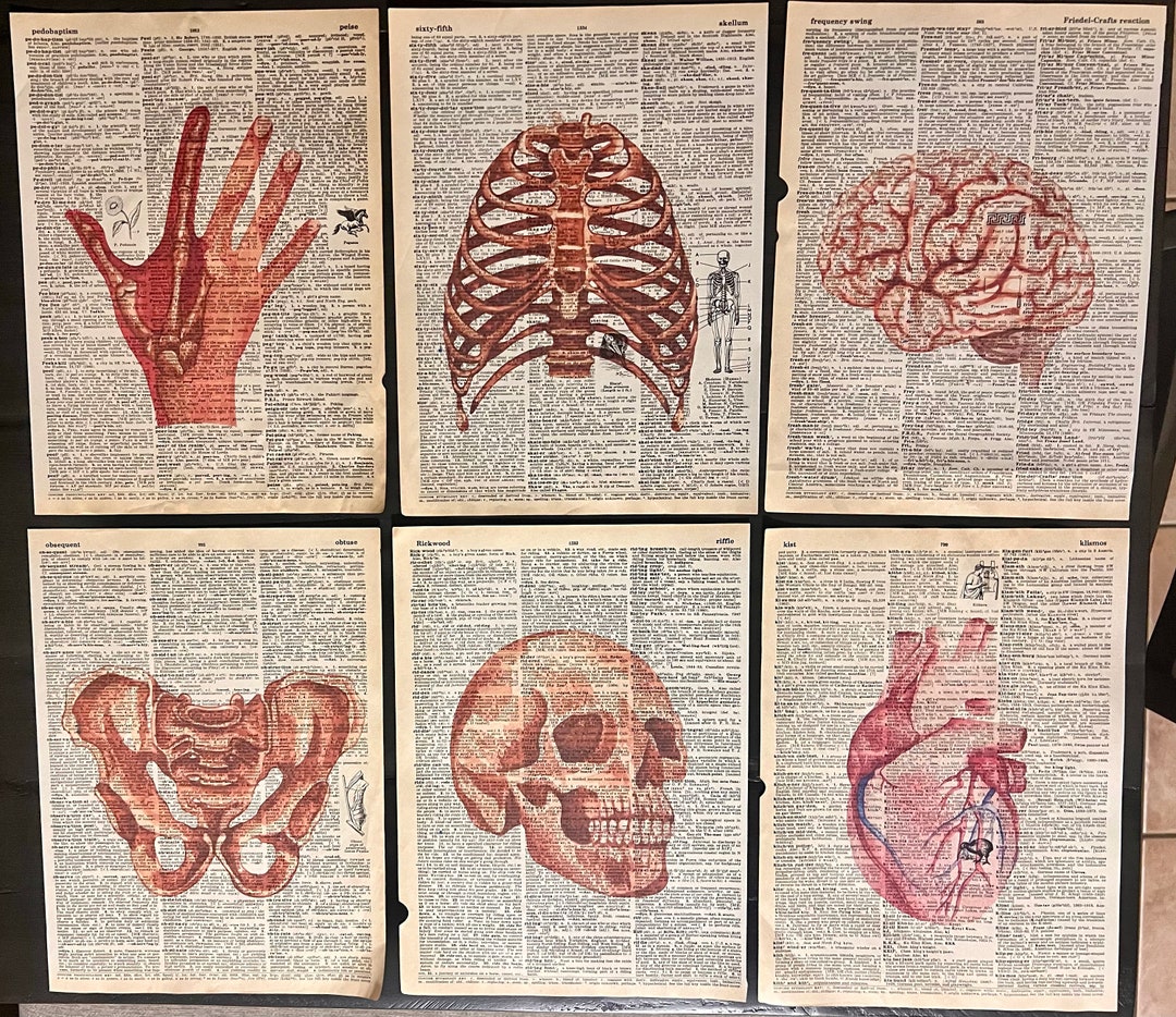 Watercolor Anatomy Dictionary Prints, Vintage Dictionary Art Prints ...