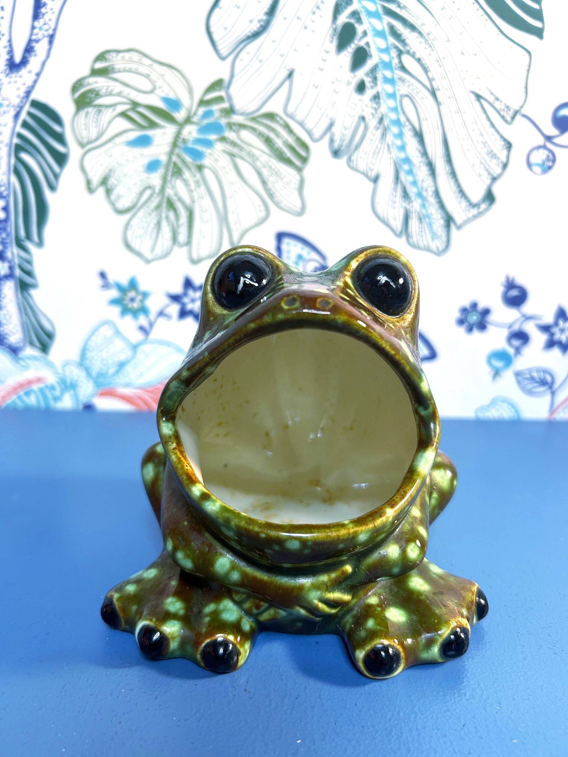 Vintage Froggie Scrubby Holder Retro 1978! Big Black Eyes, Dark and ...