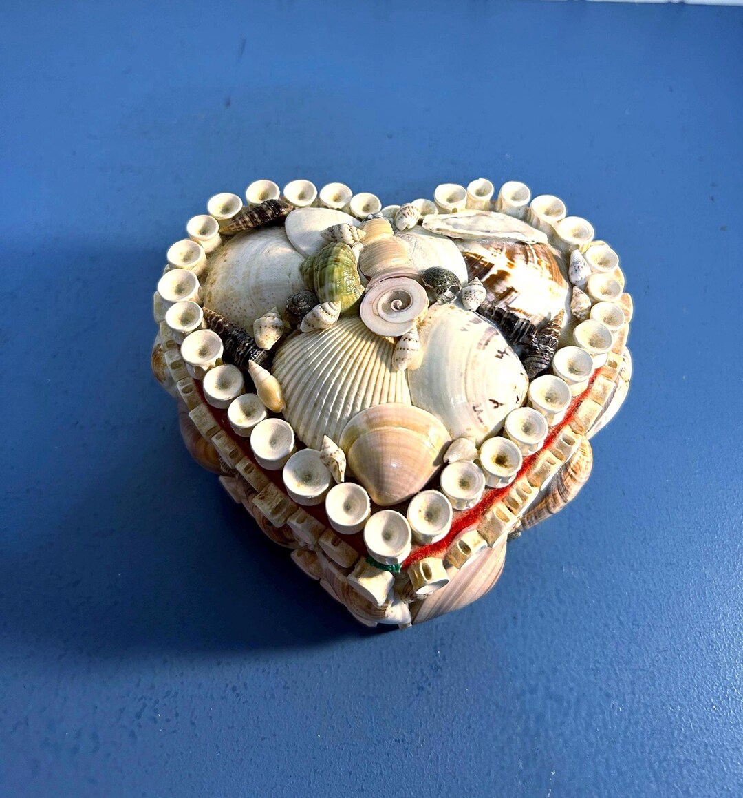 Vintage Seashell Box W/ Gold Chain ~ 5” - Etsy