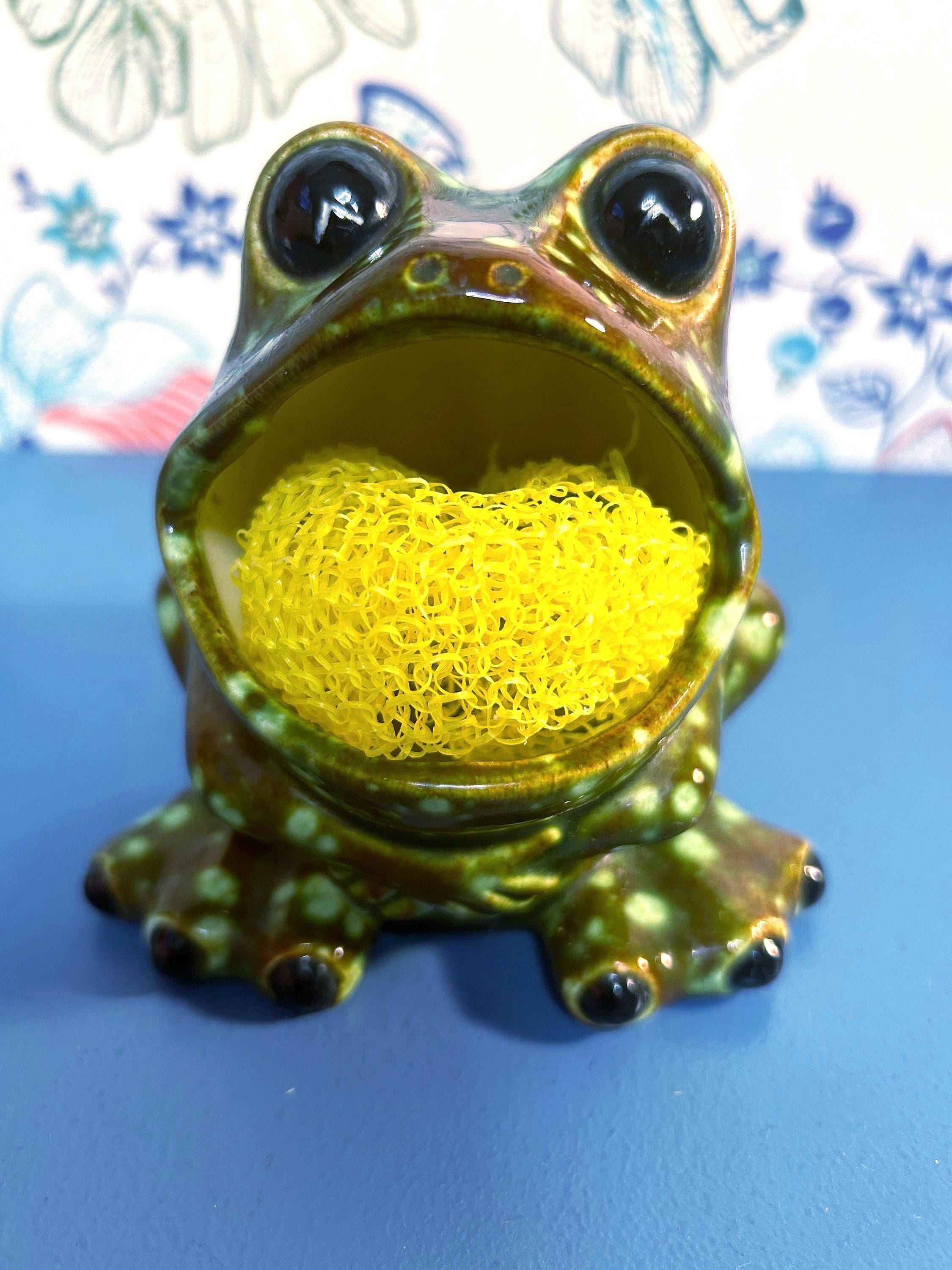 Vintage Froggie Scrubby Holder Retro 1978! Big Black Eyes, Dark and ...