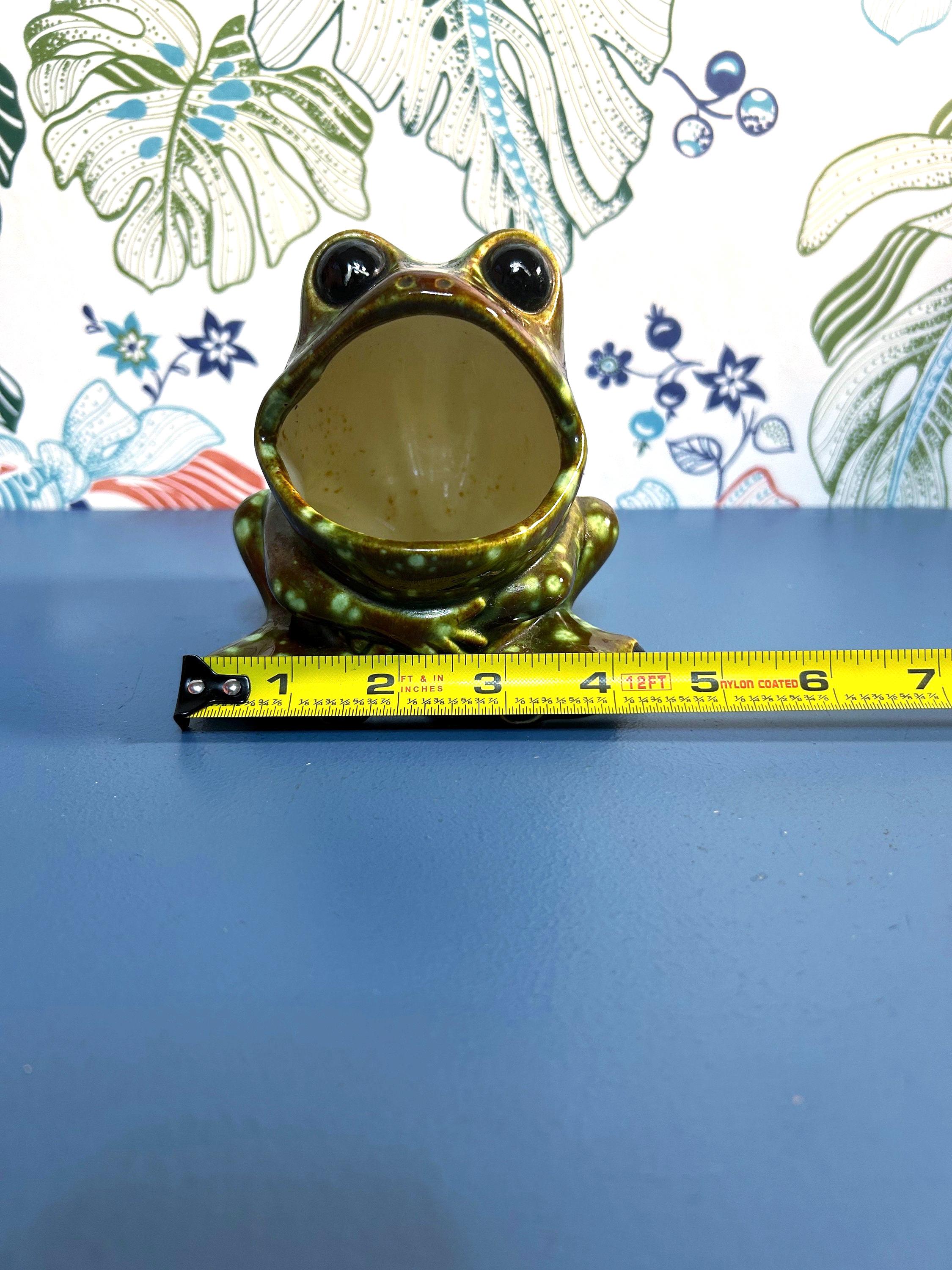 Vintage Froggie Scrubby Holder Retro 1978 Big Black Eyes, Dark and Lime ...