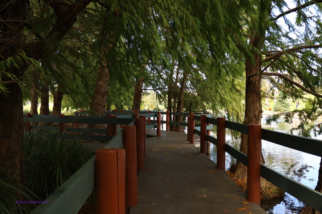 Park, Toowoomba Photo Printable Wall Art - Etsy