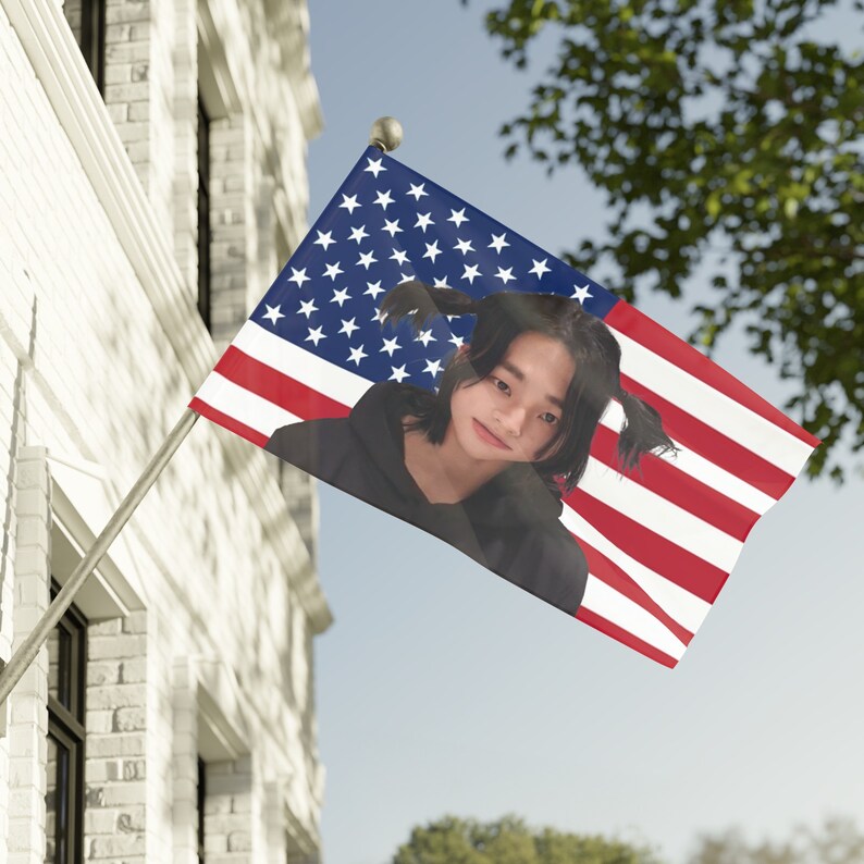 Hyunjin Stray Kids Pig Tails Flag Banner, Hyunjin American Flag ...