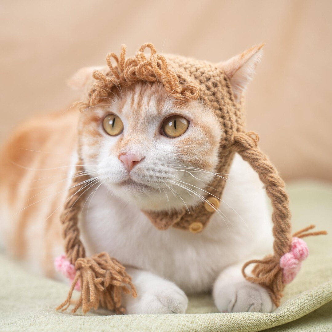 Artisan Cat Bonnet Cute Brown Hat With Tassled Braids for Cats and ...