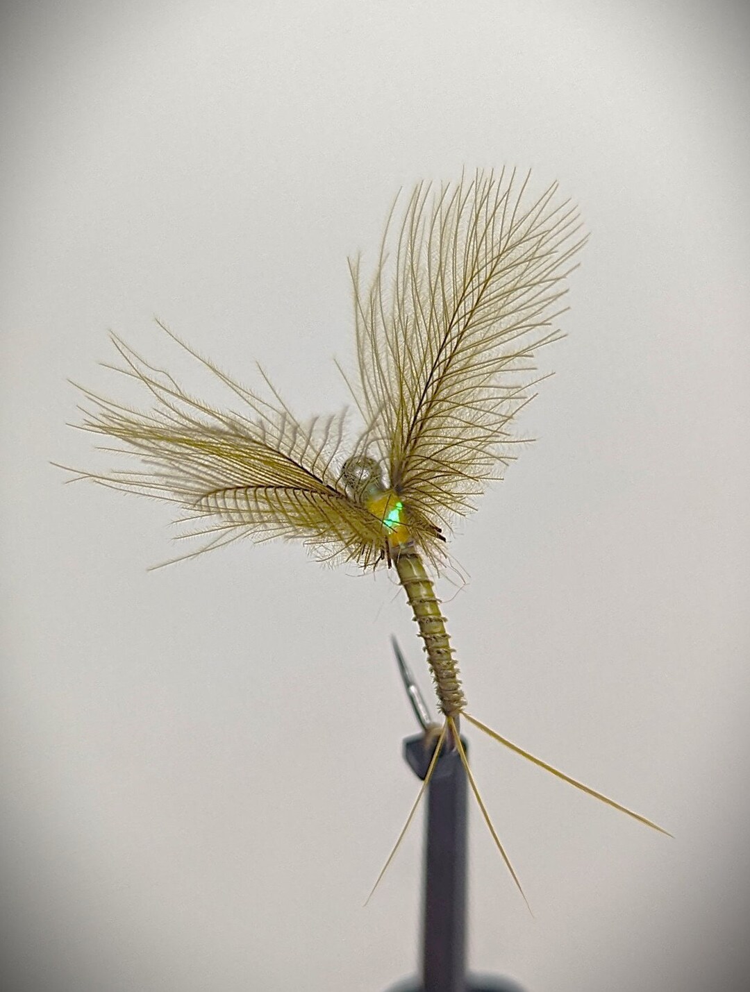 Mayfly Biot Ephemera Danica Dun (CDC) (CF) Dry Fly for Trout and ...