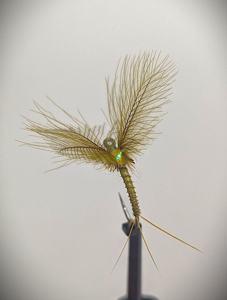 Mayfly Biot Ephemera Danica Dun (CDC) (CF) Dry Fly for Trout and ...