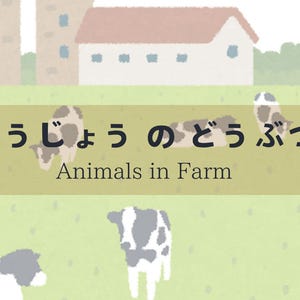 30 Japanese Vocabulary Digital Flashcards With VOICE: ANIMALS Name in ...