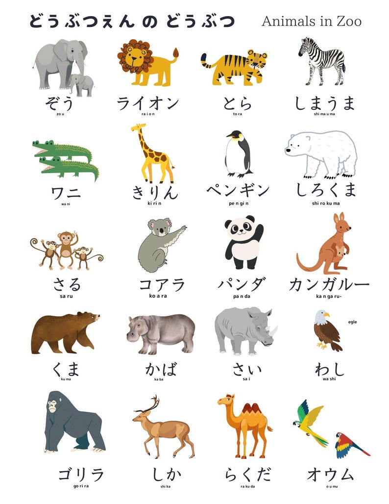 30 Japanese Vocabulary Digital Flashcards With VOICE: ANIMALS Name in ...
