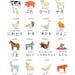 30 Japanese Vocabulary Digital Flashcards With VOICE: ANIMALS Name in ...
