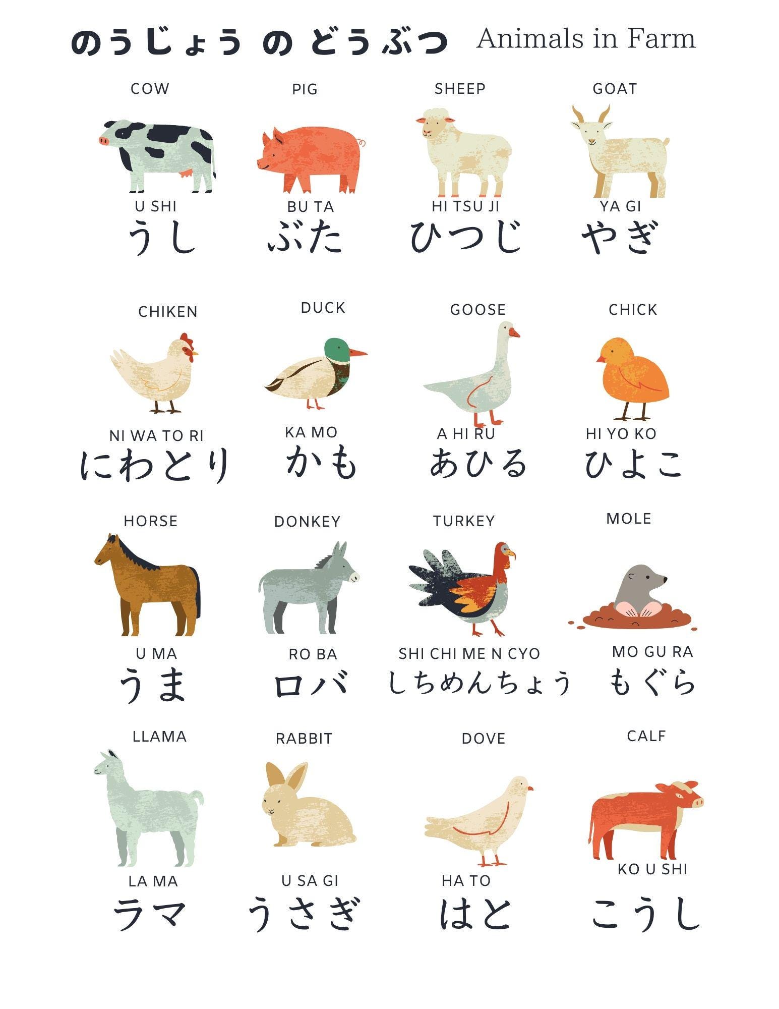 30 Japanese Vocabulary Digital Flashcards With VOICE: ANIMALS Name in ...